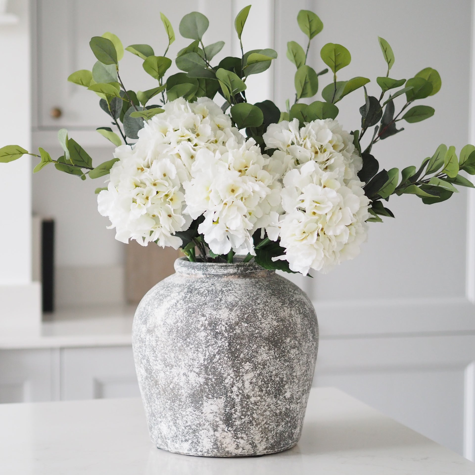 White Hydrangeas A Guide To Growing Hydrangeas In Pots | Garden Design