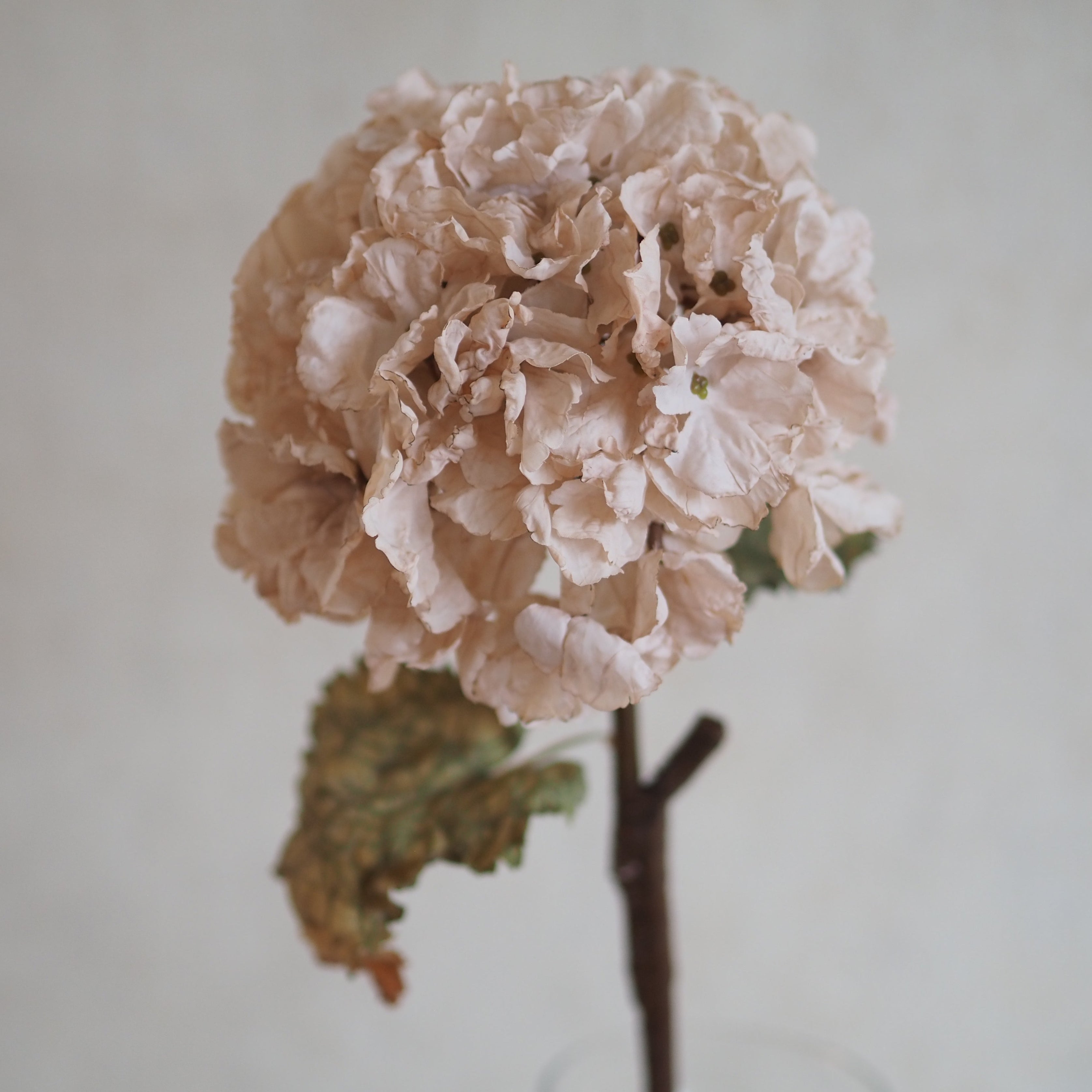 Classic Blush Hydrangea & Eucalyptus Faux Flower Bouquet – Dot and Blush